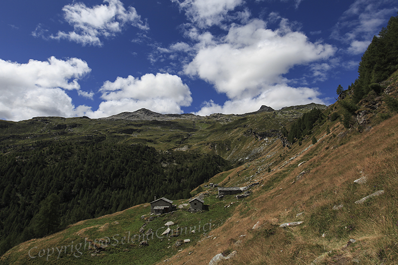 Brezza di Monte di Selena Chinnici - bivacco del servizio - starleggia ...